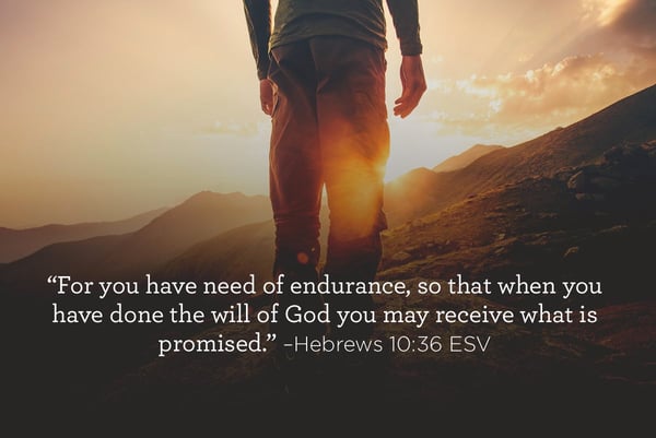 You Have Need of Endurance