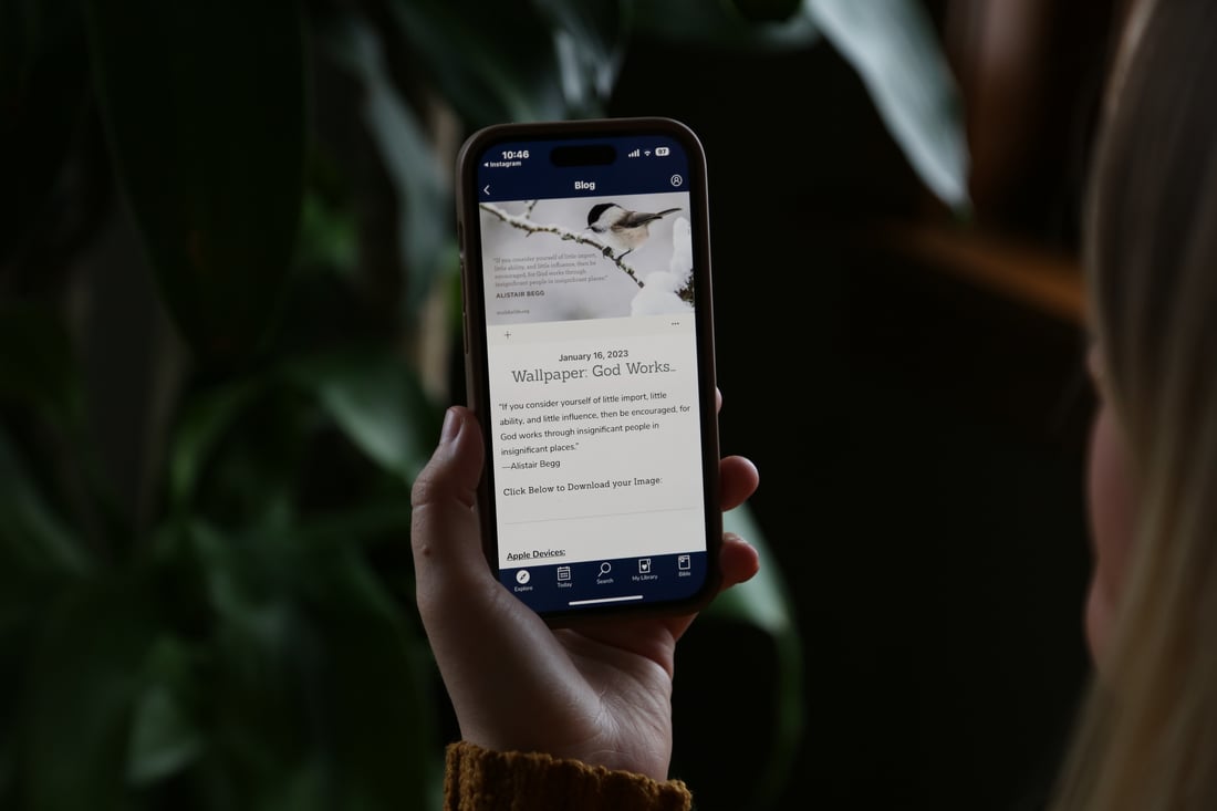How to Use Our Linkin.bio on Instagram