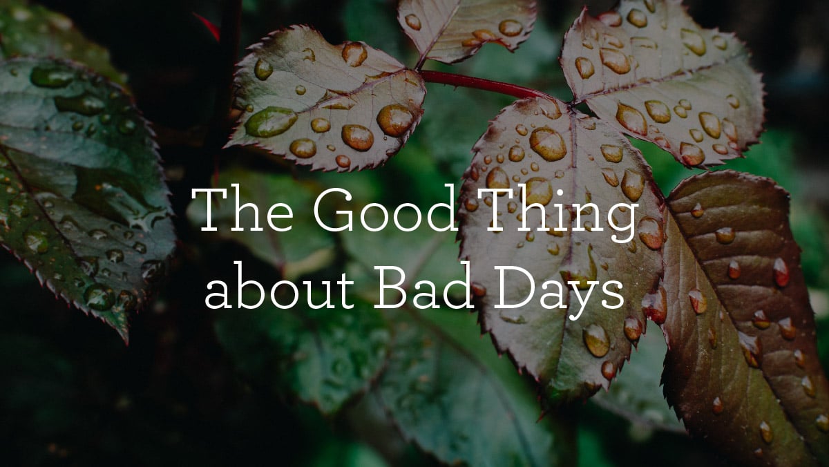 The Good Thing about Bad Days