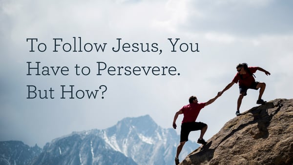To Follow Jesus, You Have to Persevere. But How?