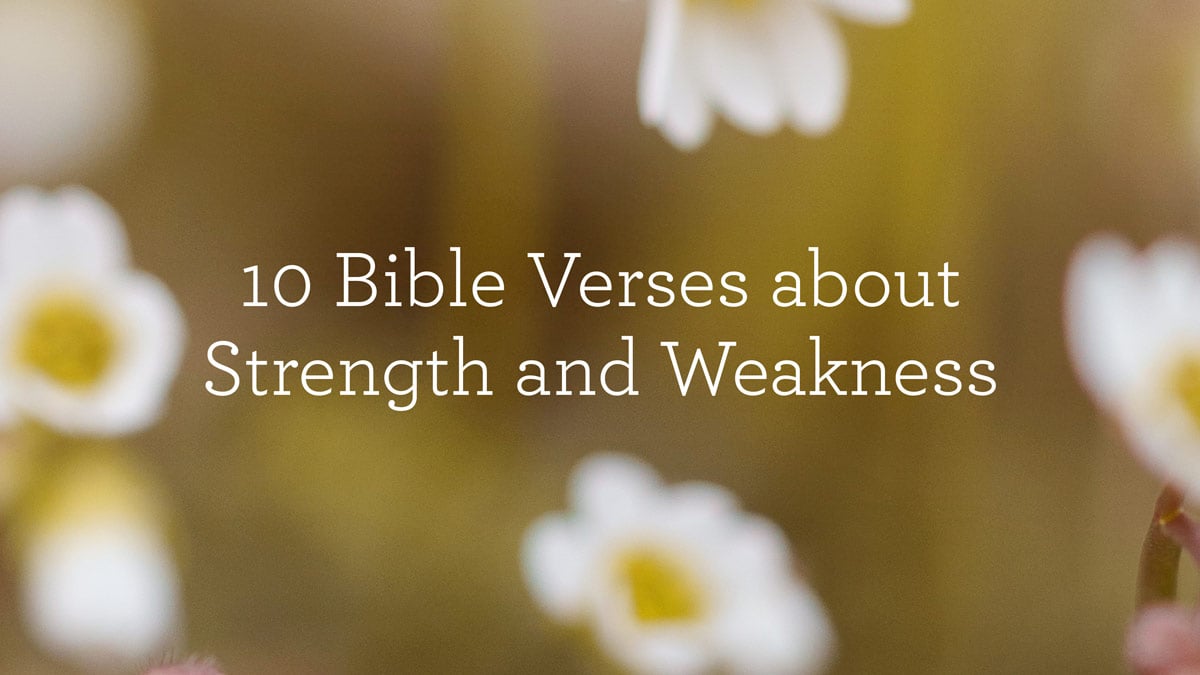 10 Bible Verses about Strength and Weakness