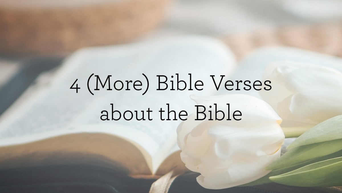 4 (More) Bible Verses about the Bible