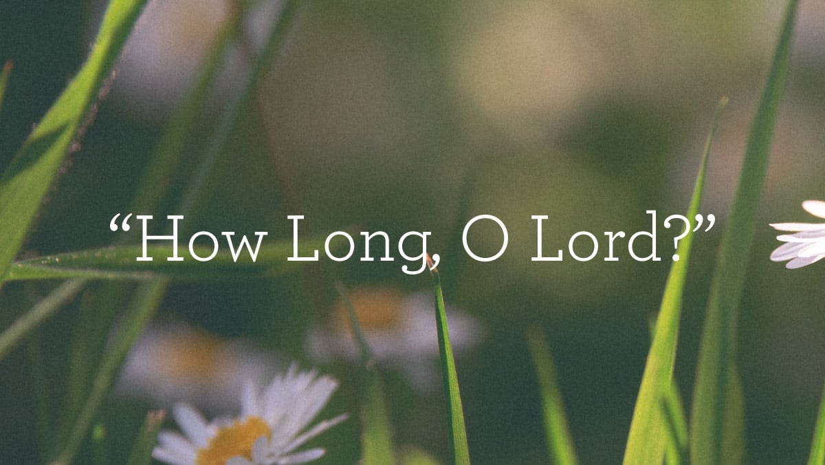 “How Long, O Lord?”