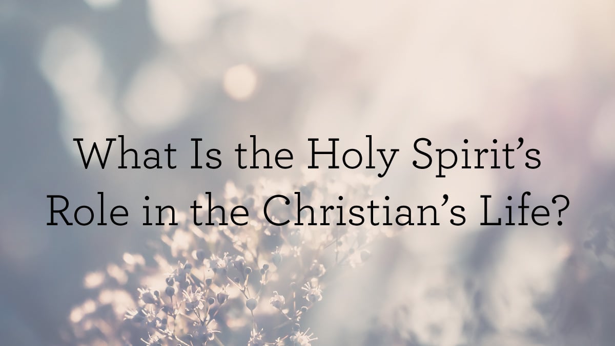 What Is the Holy Spirit’s Role in the Christian’s Life?