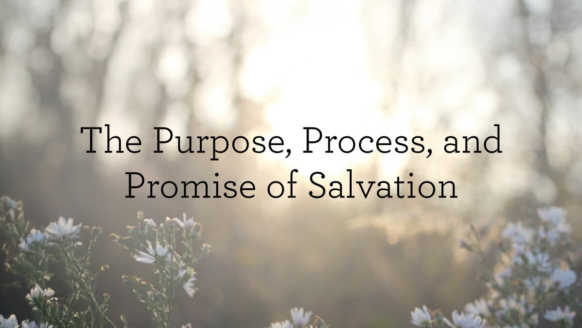 The Purpose, Process, and Promise of Salvation