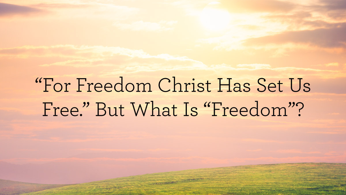 “For Freedom Christ Has Set Us Free.” But What Is “Freedom”?