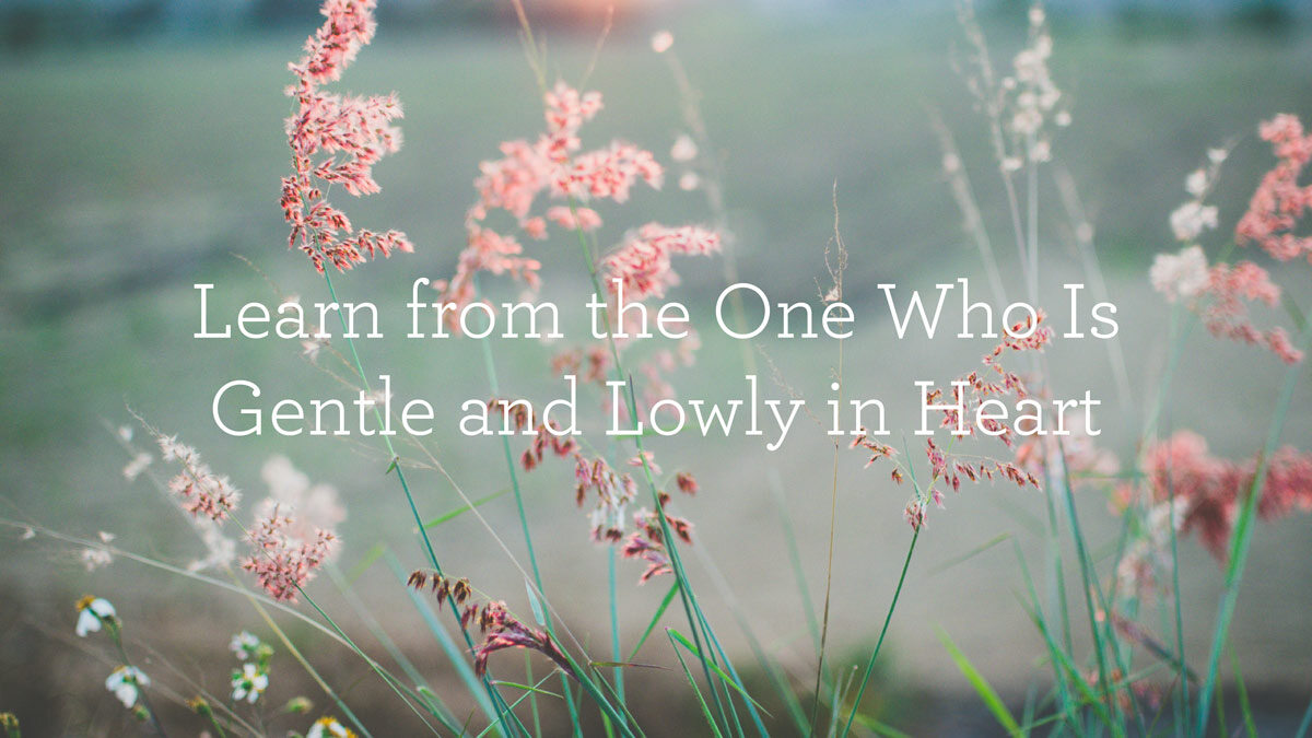 Learn from the One Who Is Gentle and Lowly in Heart