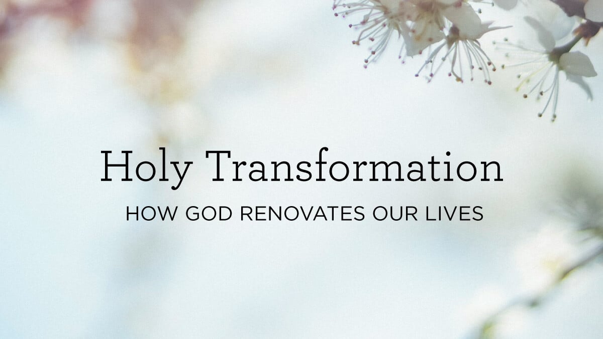 Holy Transformation: How God Renovates Our Lives