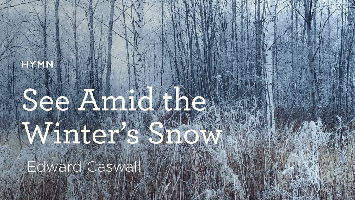 Hymn: “See Amid the Winter’s Snow” by Edward Caswall