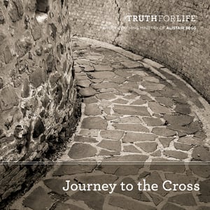 Learn about Jesus' Journey to the Cross
