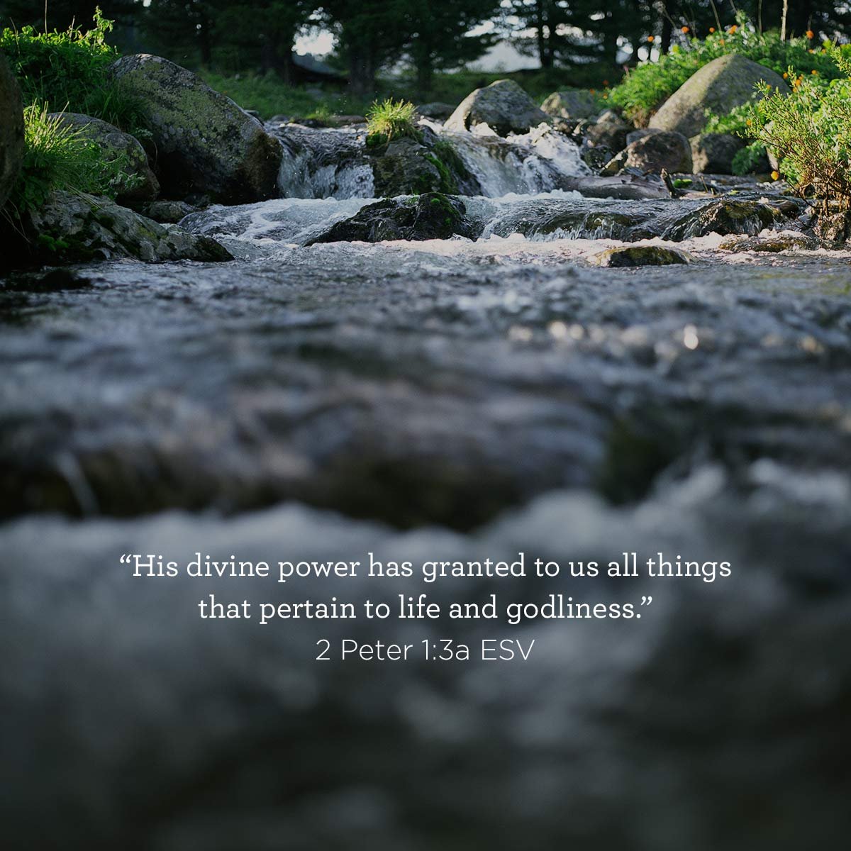 His Divine Power Has Granted Us All Things