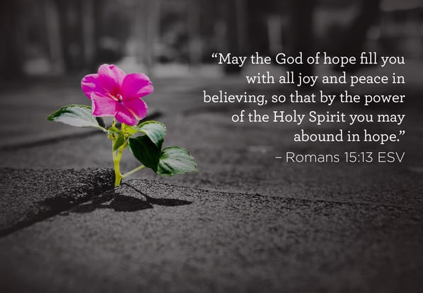 So that You May Abound In Hope