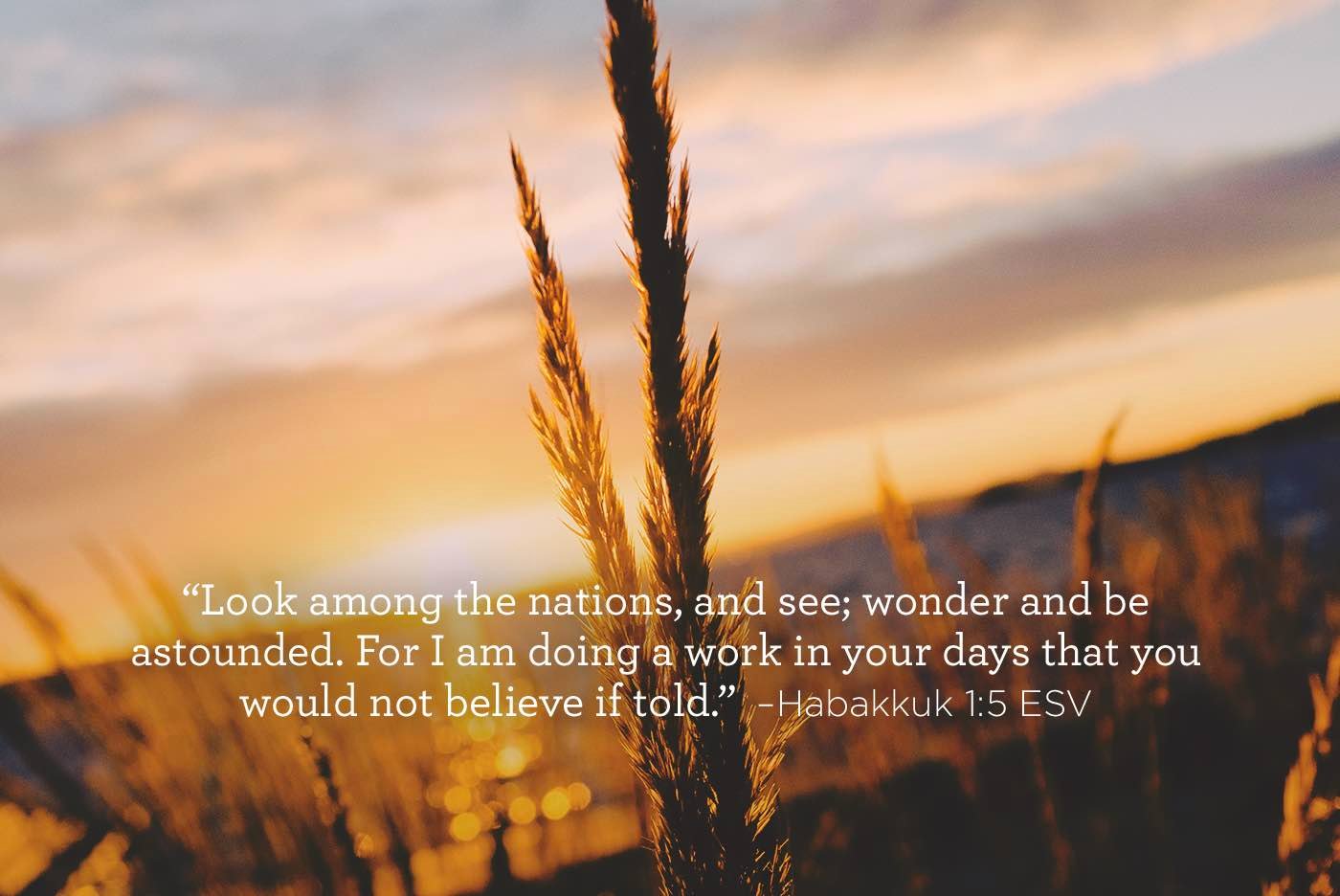 Look Among the Nations