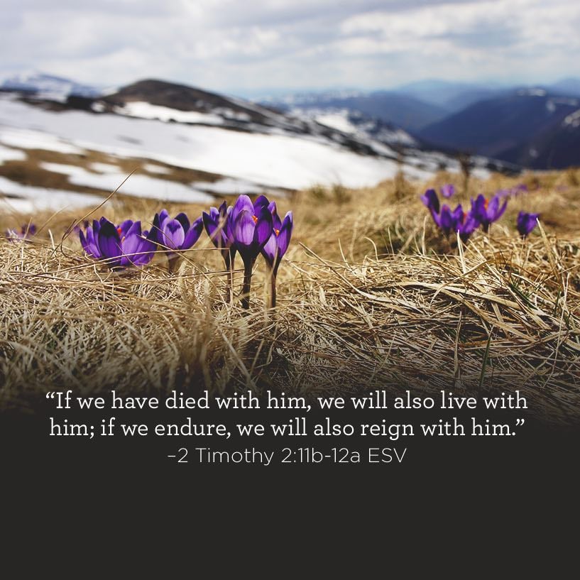 We Will Live With Him