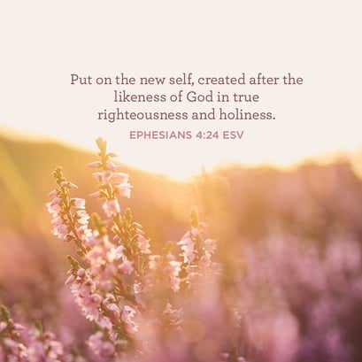 Put On the New Self