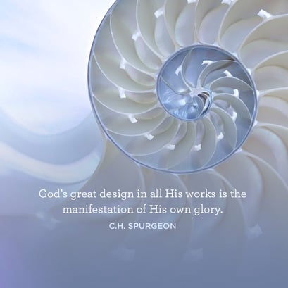 God's Great Design