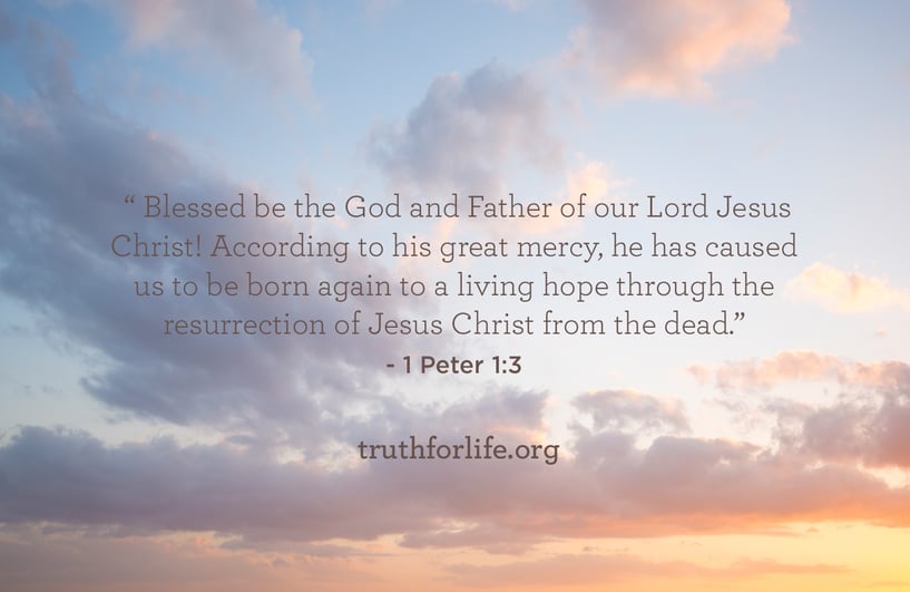 A Living Hope : Wallpaper