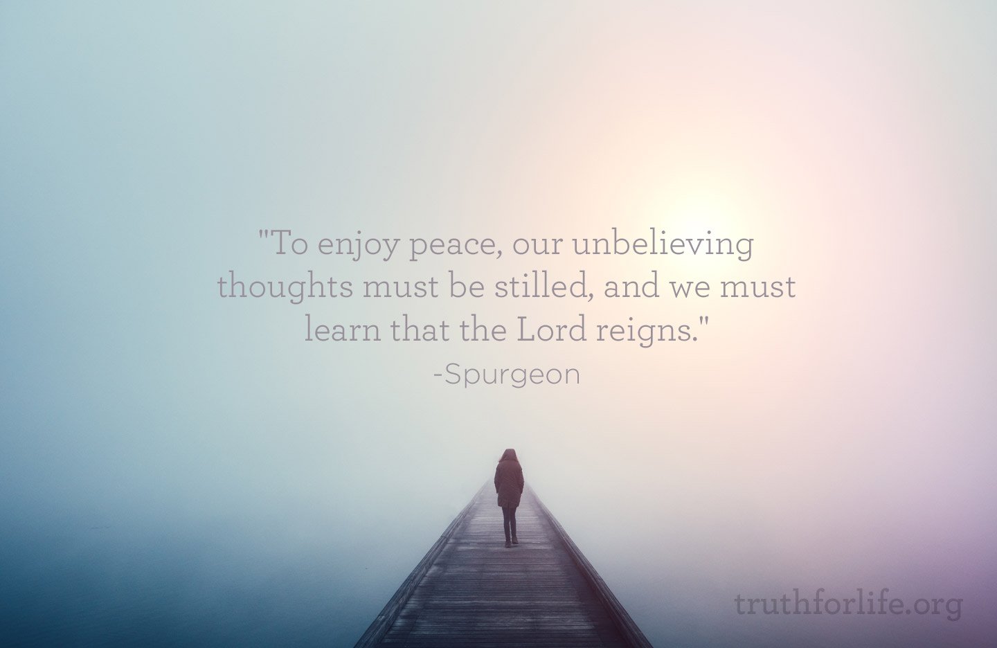 Enjoy Peace : Wallpaper