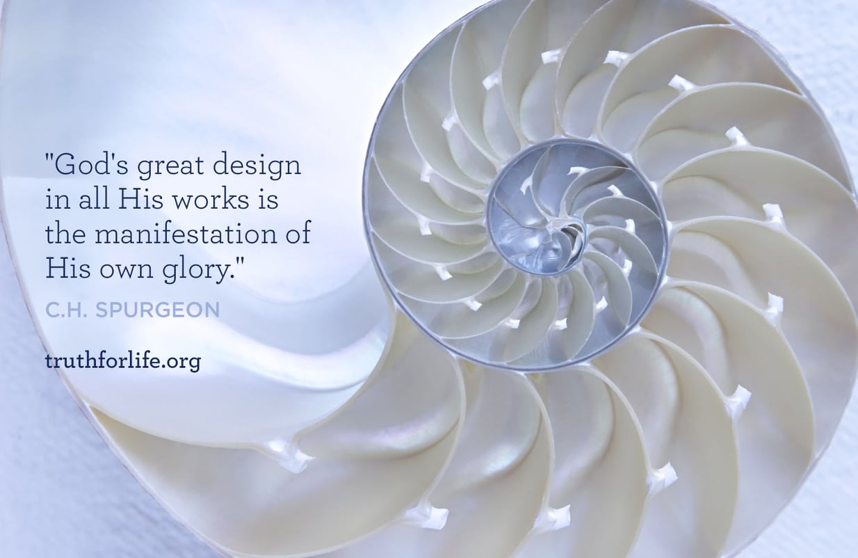 Great Design : Wallpaper