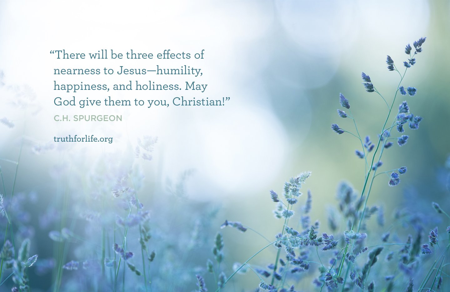 Wallpaper: Nearness to Jesus