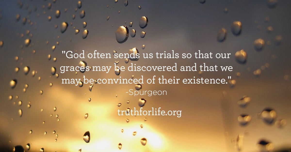 Sends Trials : Wallpaper