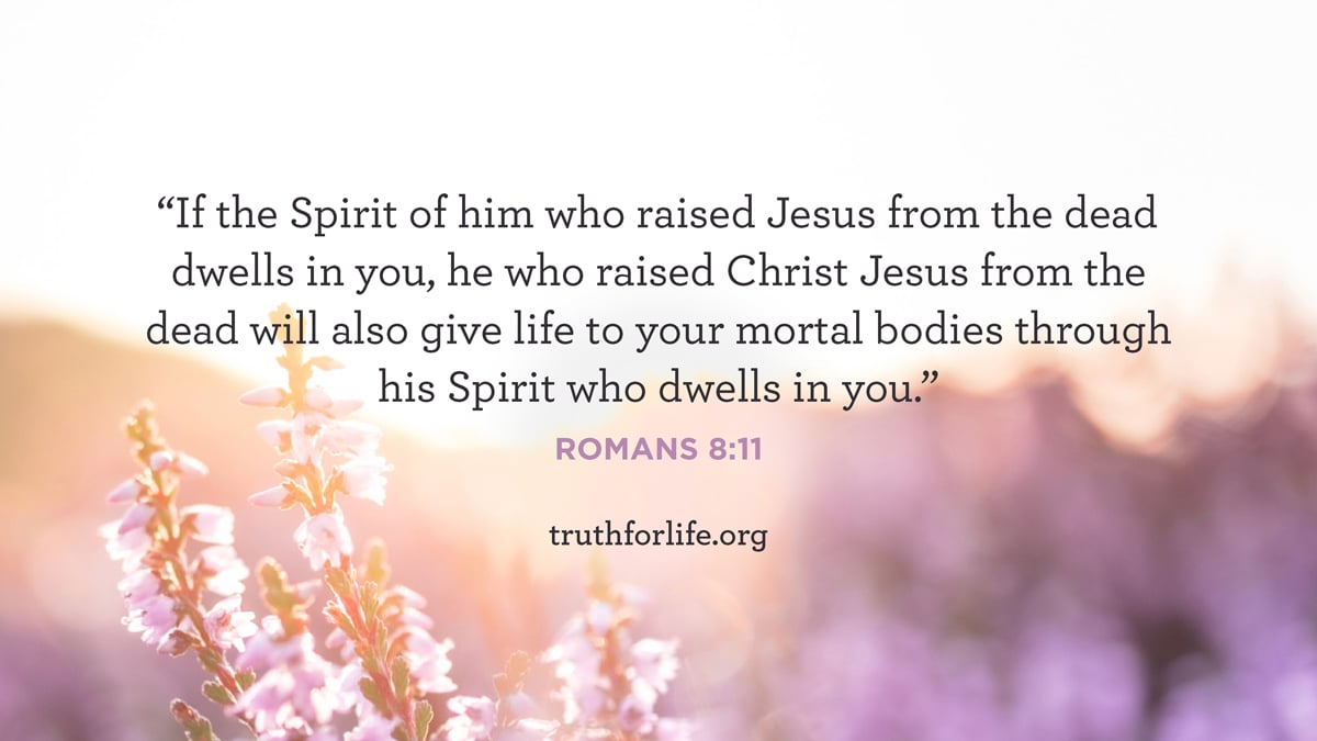 Wallpaper: Through His Spirit