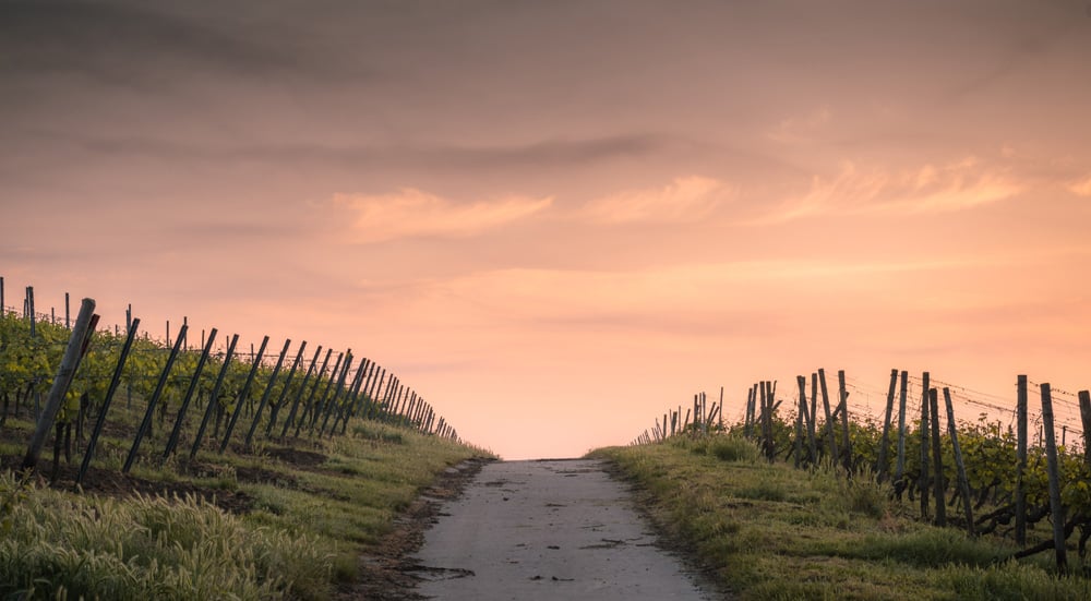 Sermons from Mark by Alistair Begg